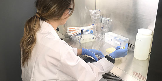 Biotechnology - Humber College